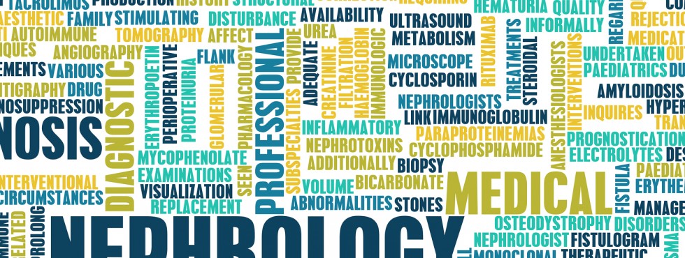 Nephrology Associates, | Kidney care for the greater Bridgeport ...